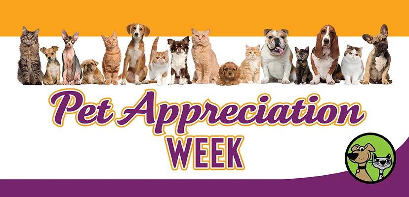 Pet Appreciation Week 2024 - ReviewFitHealth.com