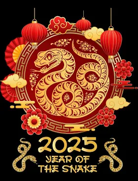 Chinese Lunar New Year 2025 - ReviewFitHealth.com